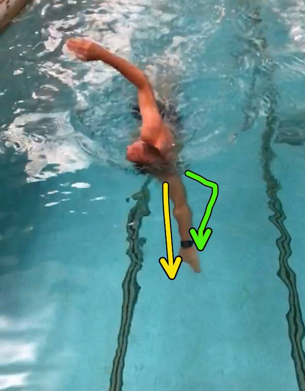 10 Common Freestyle Swim Mistakes and How to Correct Them | USA Triathlon